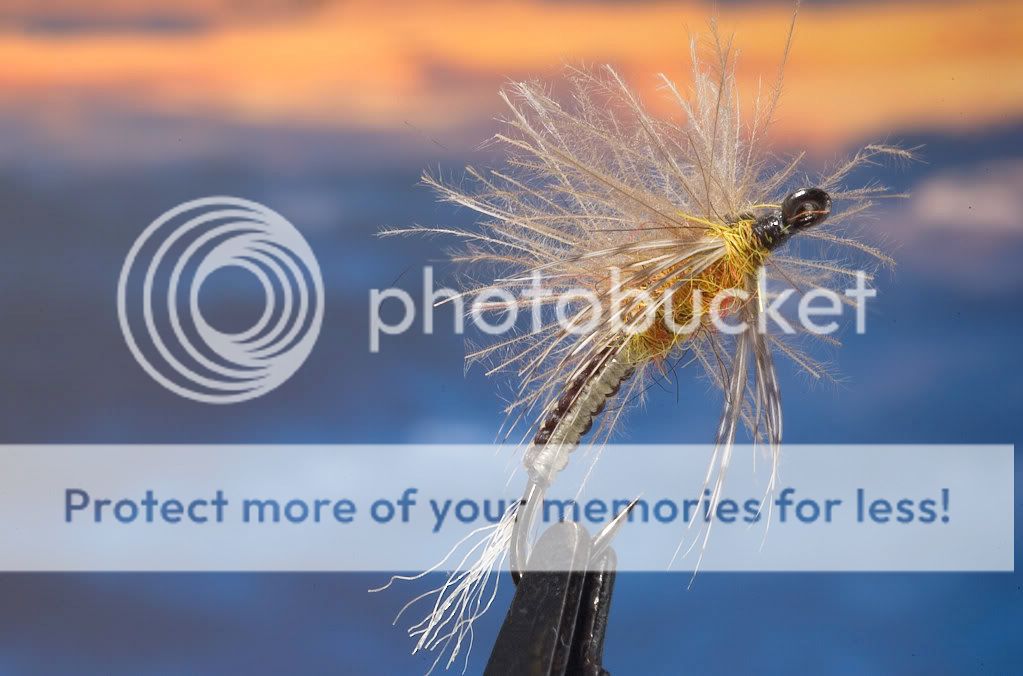 cdc paraloop mayfly emerger - The Fly Tying Bench - Fly Tying