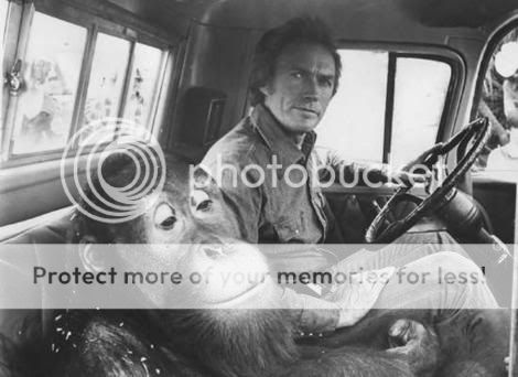 Vintage shots from days gone by! | Page 519 | The H.A.M.B.